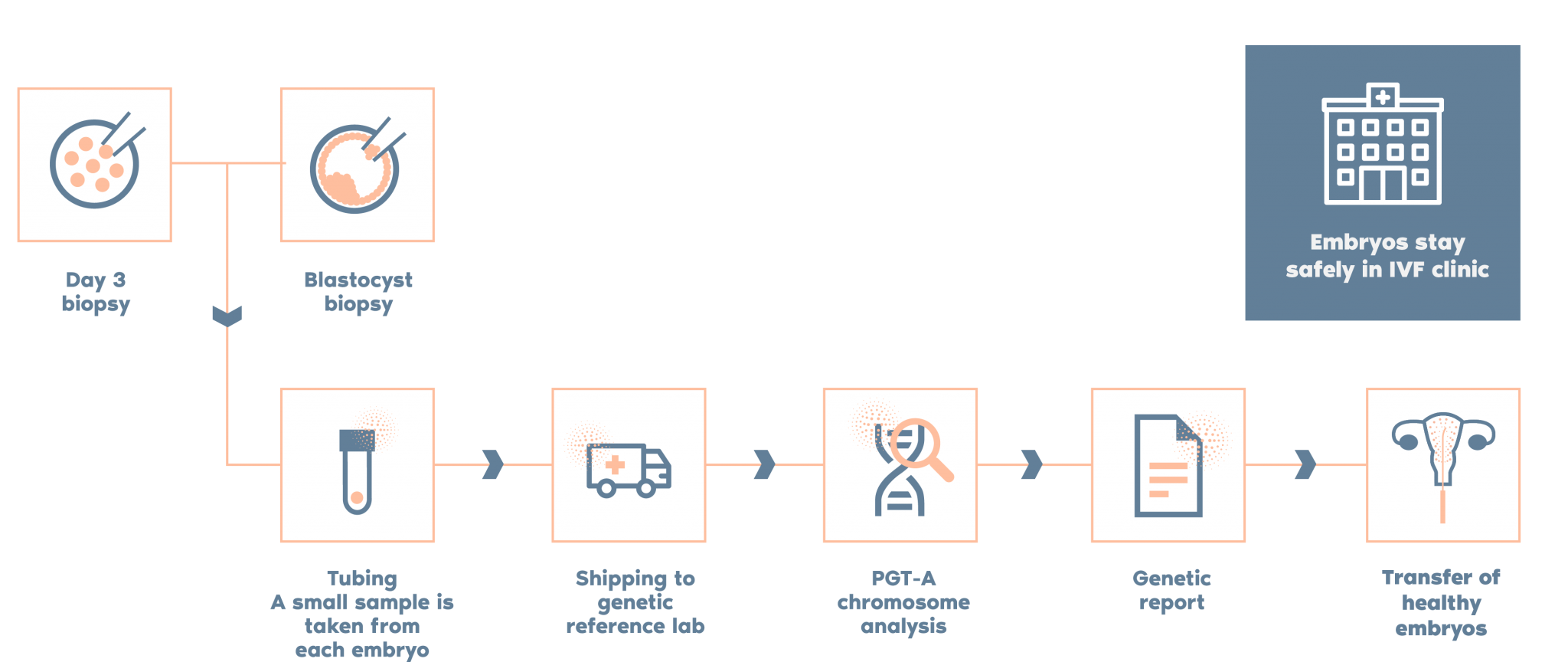 PGT-A Preimplantation Genetic Testing for Aneuploidies