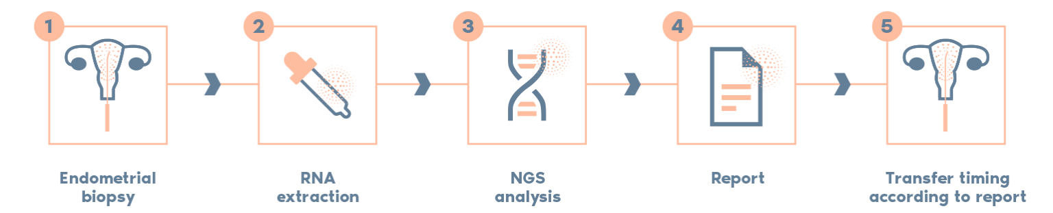 ERA - IGENOMIX - With science on your side