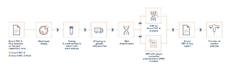 PGT-A Plus - IGENOMIX - With science on your side