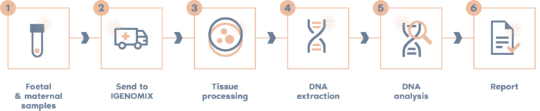 POC Portfolio - IGENOMIX - With science on your side
